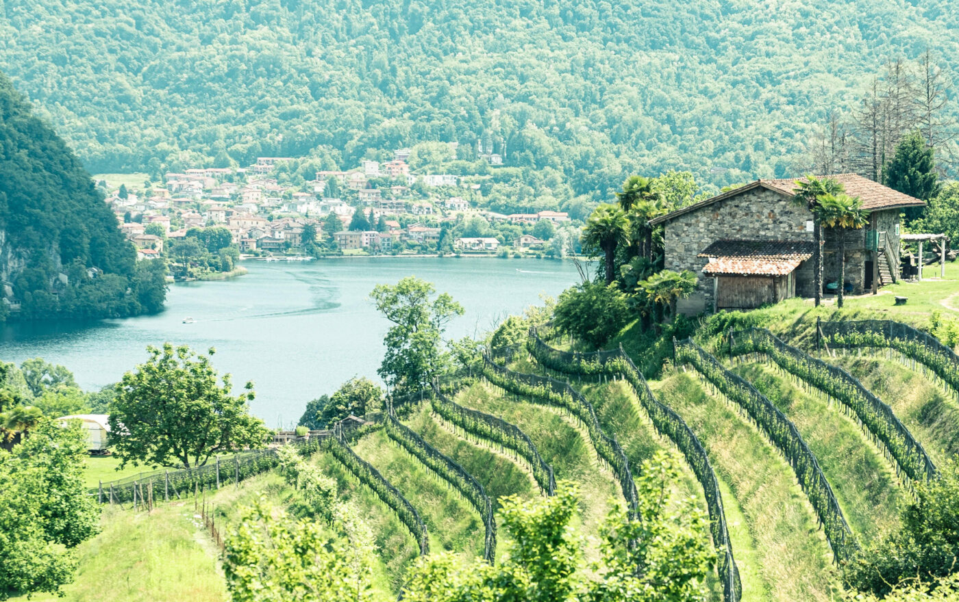 Galerie - Hotel Paladina im Tessin